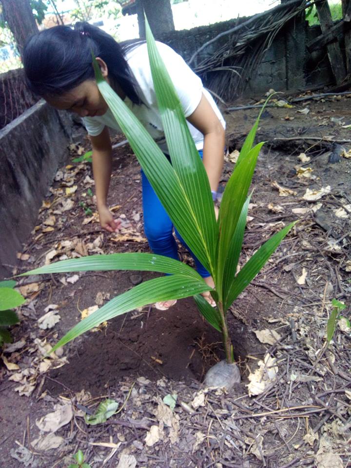 Mag Tree Planting Din Kayo ~ BAHAY KUBO