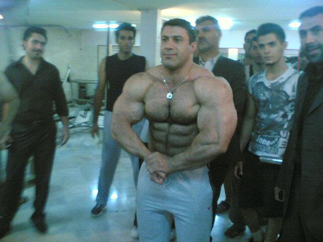 Muscle Lover: Ali Tabrizi from Iran