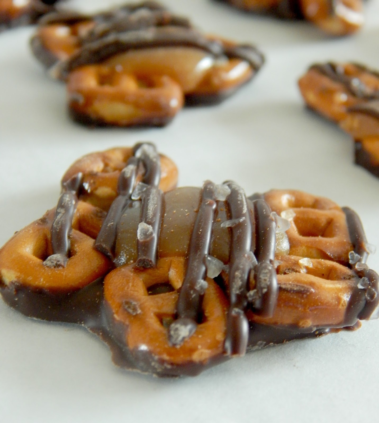 Snappers Dark Chocolate Sea Salt Minis + Giveaway | Ally's Sweet ...