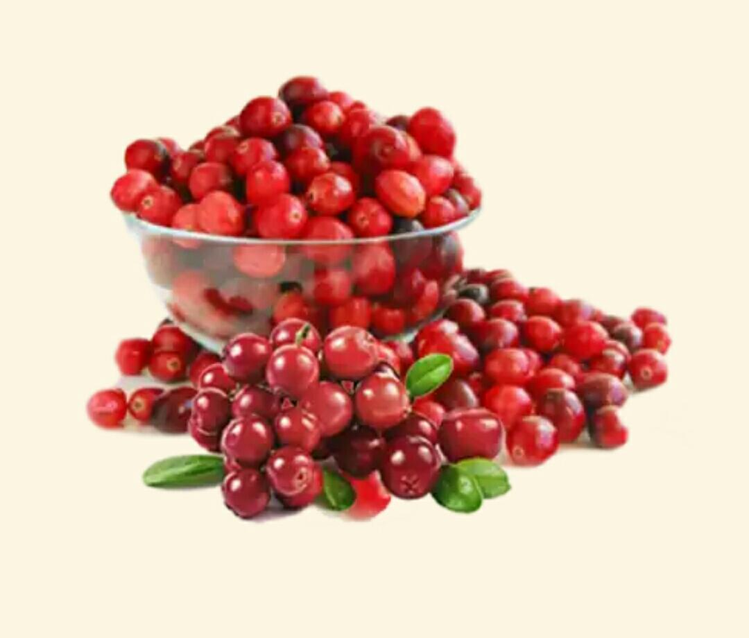 Liburan Seru dengan Uri-Cran - Wisata dan Kuliner