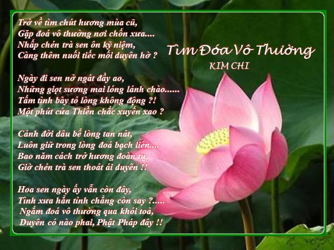 tha hương: Tìm Đóa Vô Thường