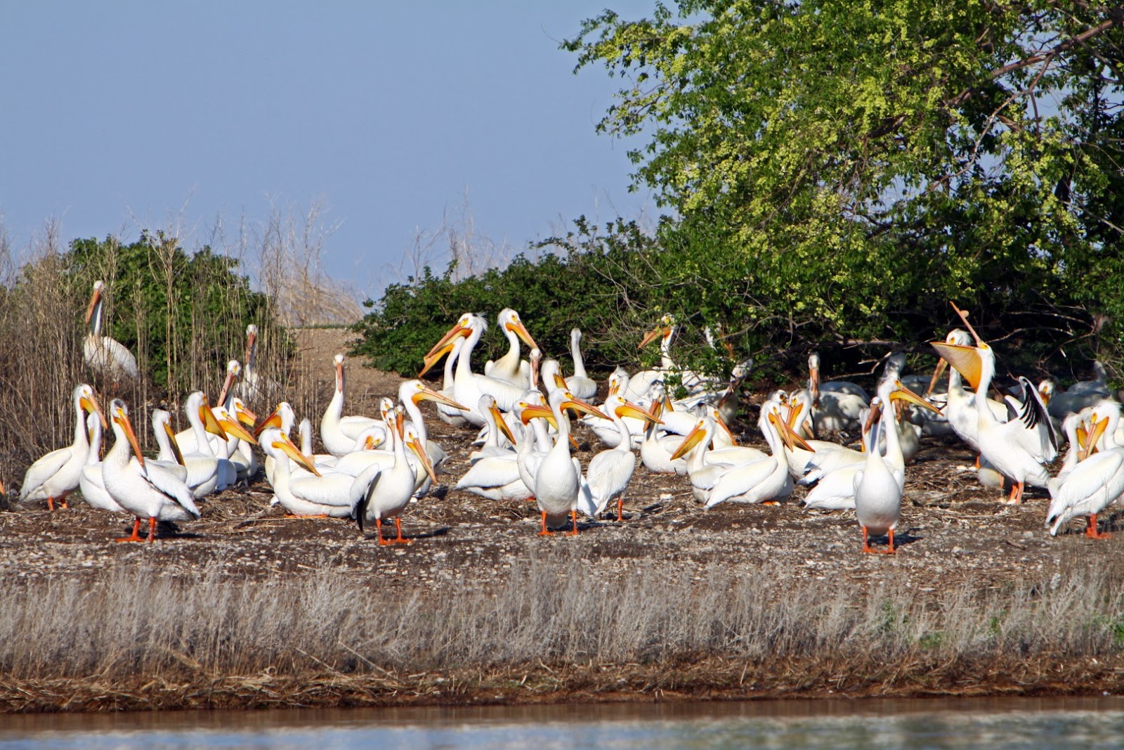 EcoFriendly Sask: Redberry Lake Biosphere Reserve