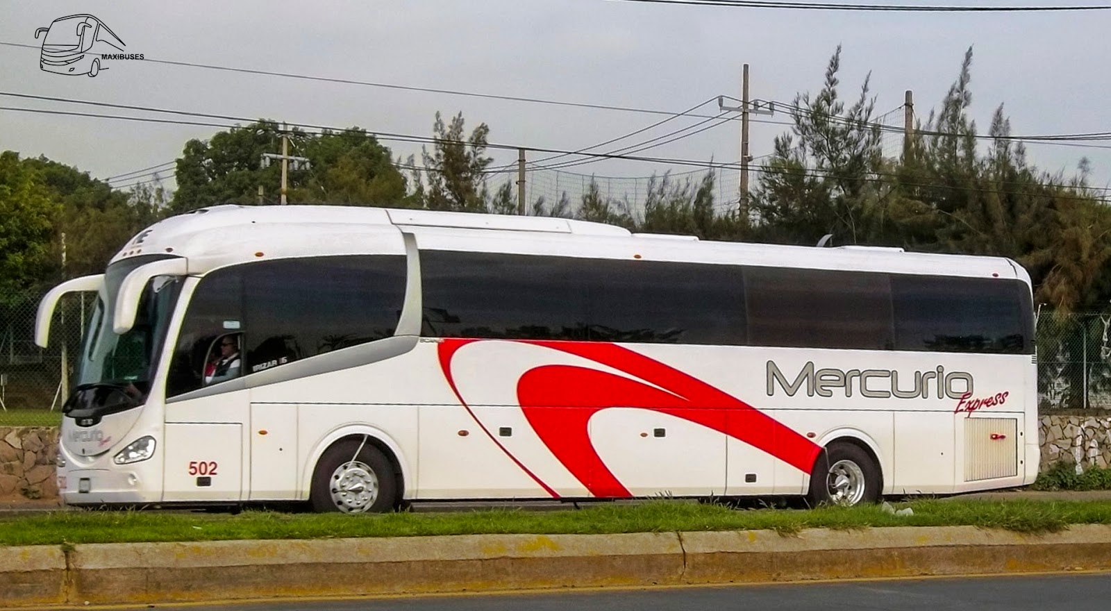 MAXIBUSES: AUTOBUSES MERCURIO EXPRESS (TURISMO)