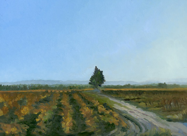 The Virtual Paintout: Arles - November 2011