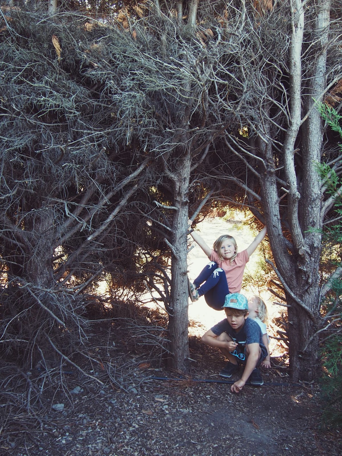 Barrabool Maze Estate Ceres Review | Yellow Dandy