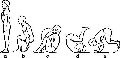 Twist, Turn, and Tumble!: How to do a backwards roll!! ;)