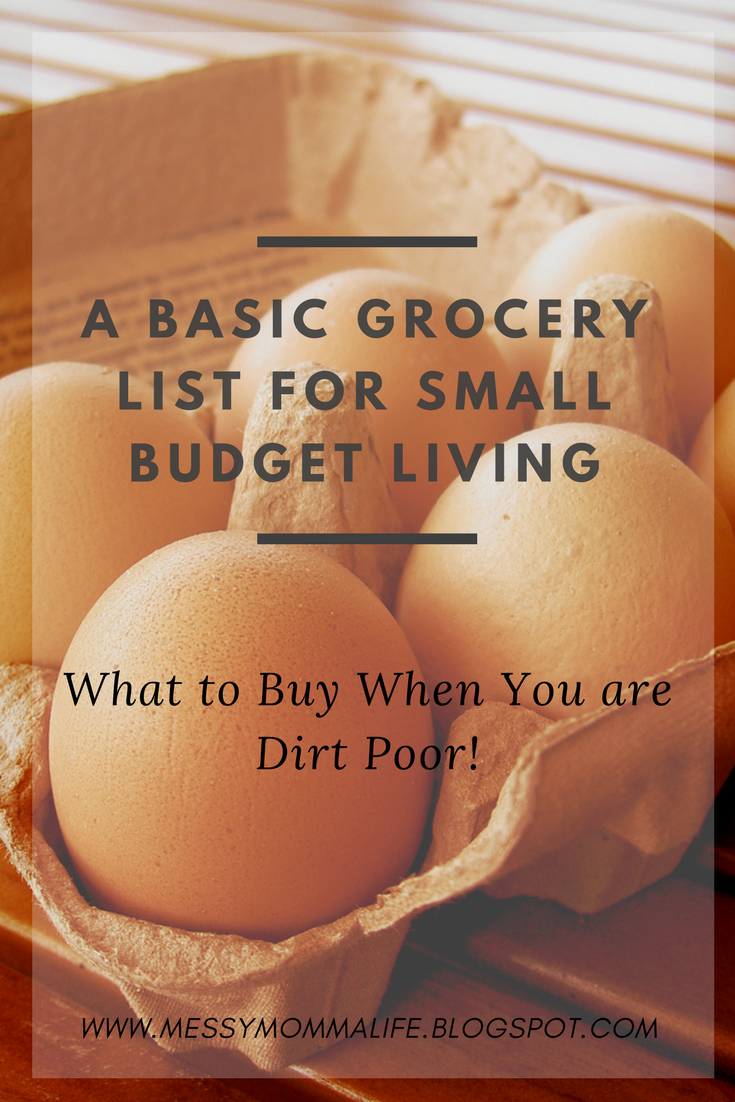 A Basic Grocery List for a Small Budget (What to Buy if You are Poor)