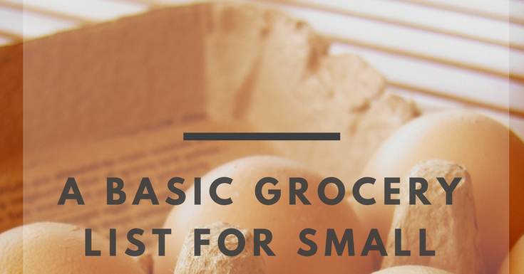 A Basic Grocery List for a Small Budget (What to Buy if You are Poor)