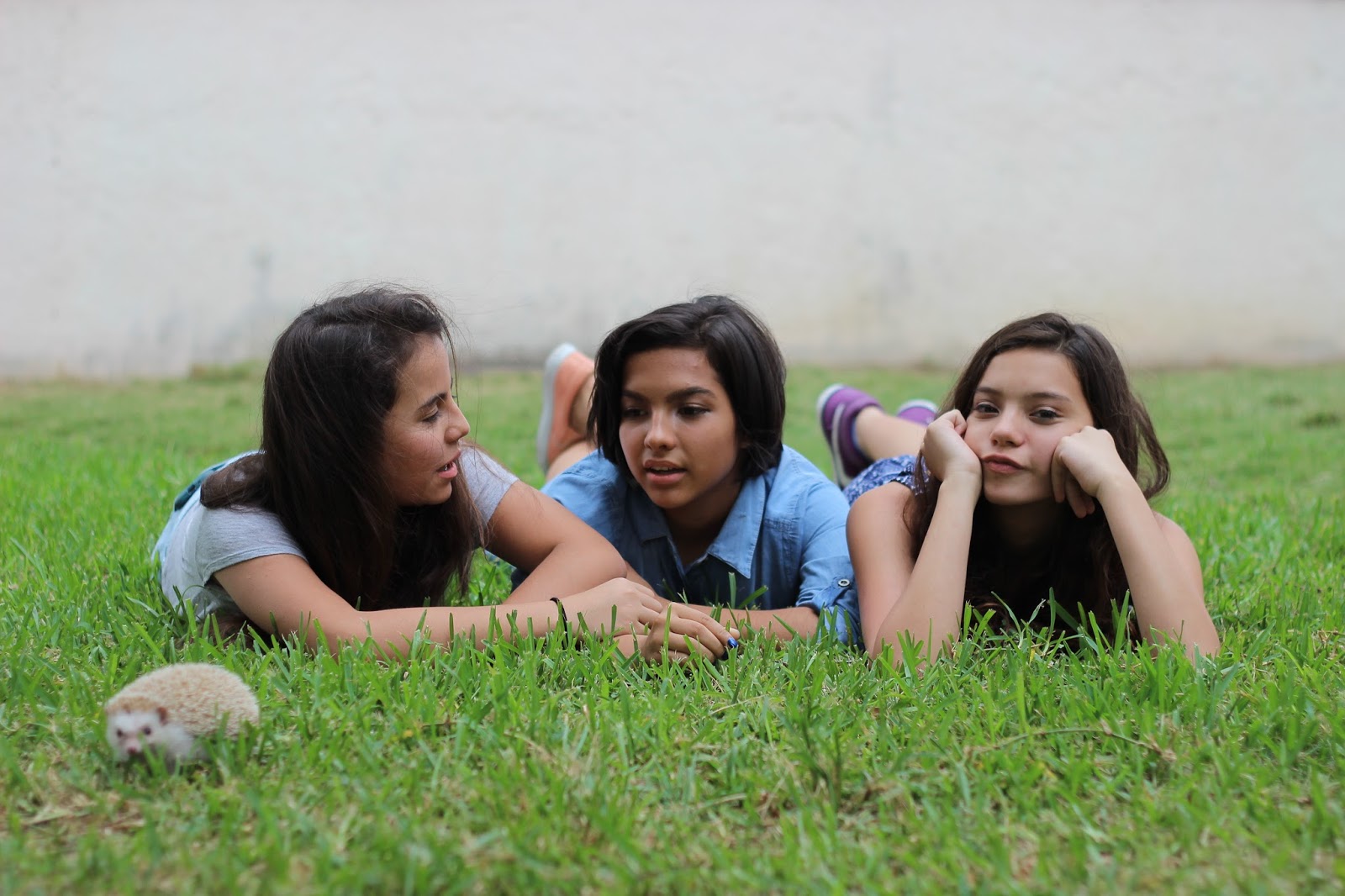 La Fotografía: Tipos de Ángulos