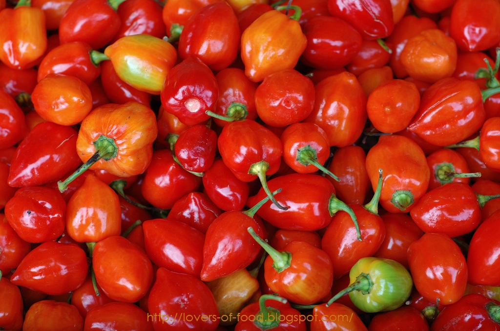 Food from all over the World: Red Capsicums