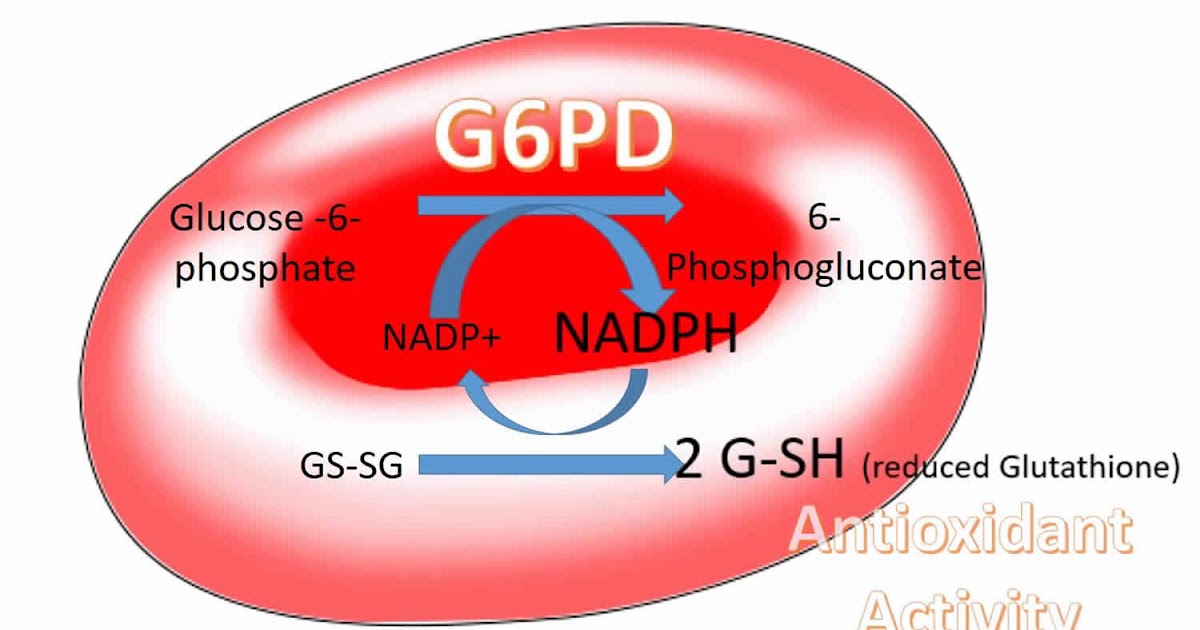 Glucose 6 Phosphate Dehydrogenase ( G6PD Deficiency ) - Teroes