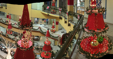 Trinidad Petrochemical Study: Long Circular Mall and Trin City