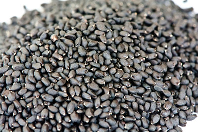 Health And Fitness: Top 11 Health Benefits Of Basil Seeds