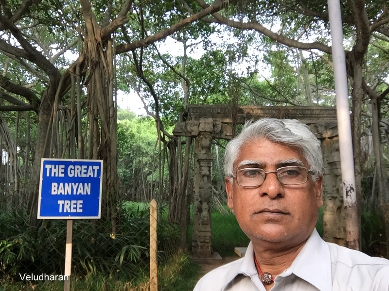 VELUDHARAN TEMPLES VISIT : The Natural Forest, Flora & Fauna, The Great ...