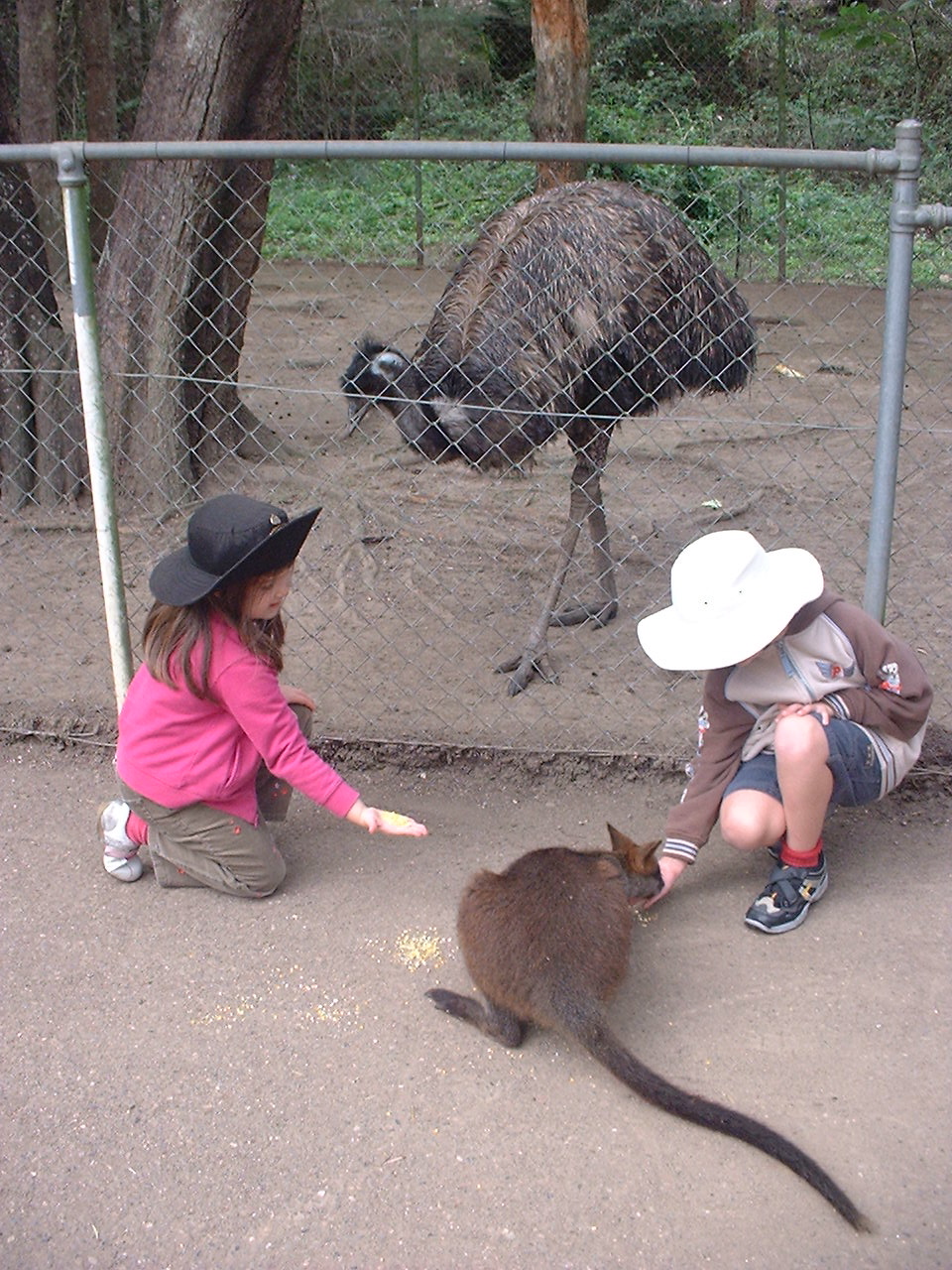Today's Little Ditty: Limerick Alley: Robert Schechter