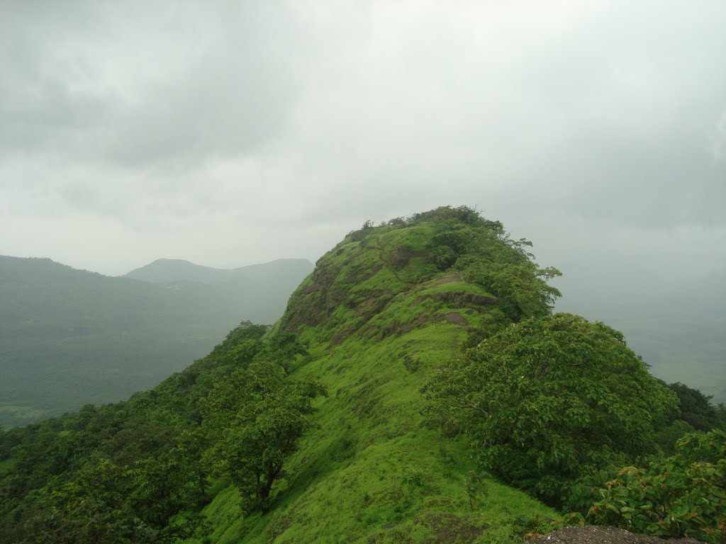 Trekking In Maharashtra: Songiri Fort a.k.a Palasdari Fort (किल्ले ...