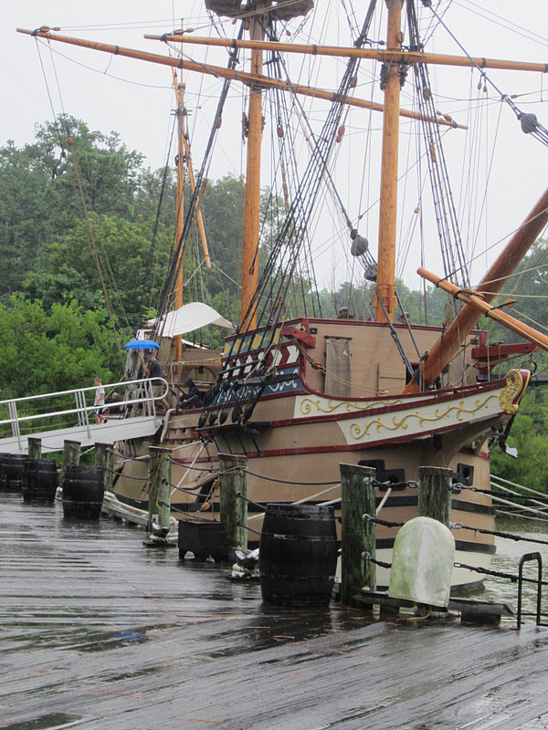 Revolutionary, My Dear George!: Traveling by Ship to Make a New Life