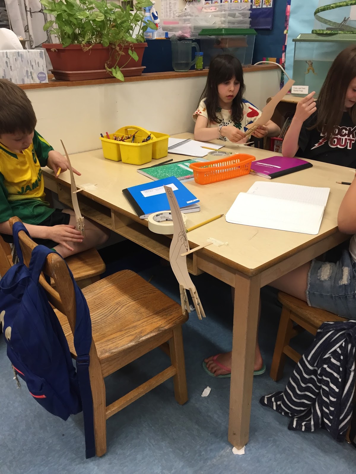 What's Happening in Lower Science?: Balancing a Pencil on the Tip!