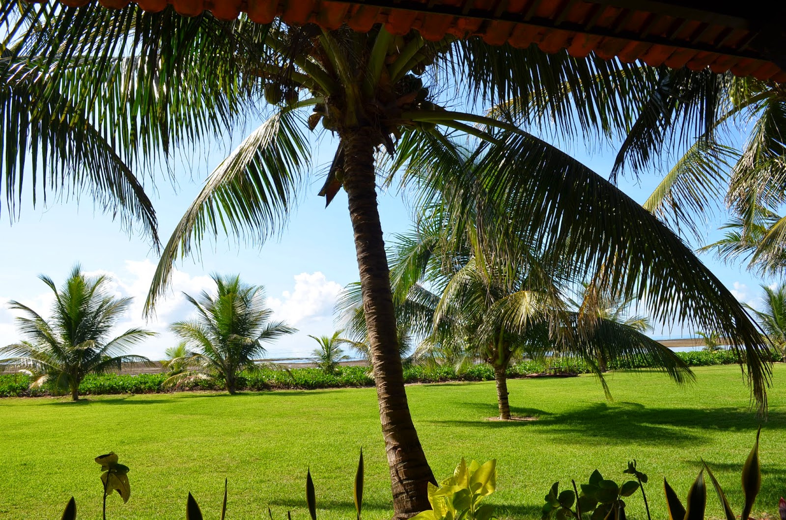 Cariocando por aí...: Hotel Review | Serrambi Resort - Ipojuca (Porto ...