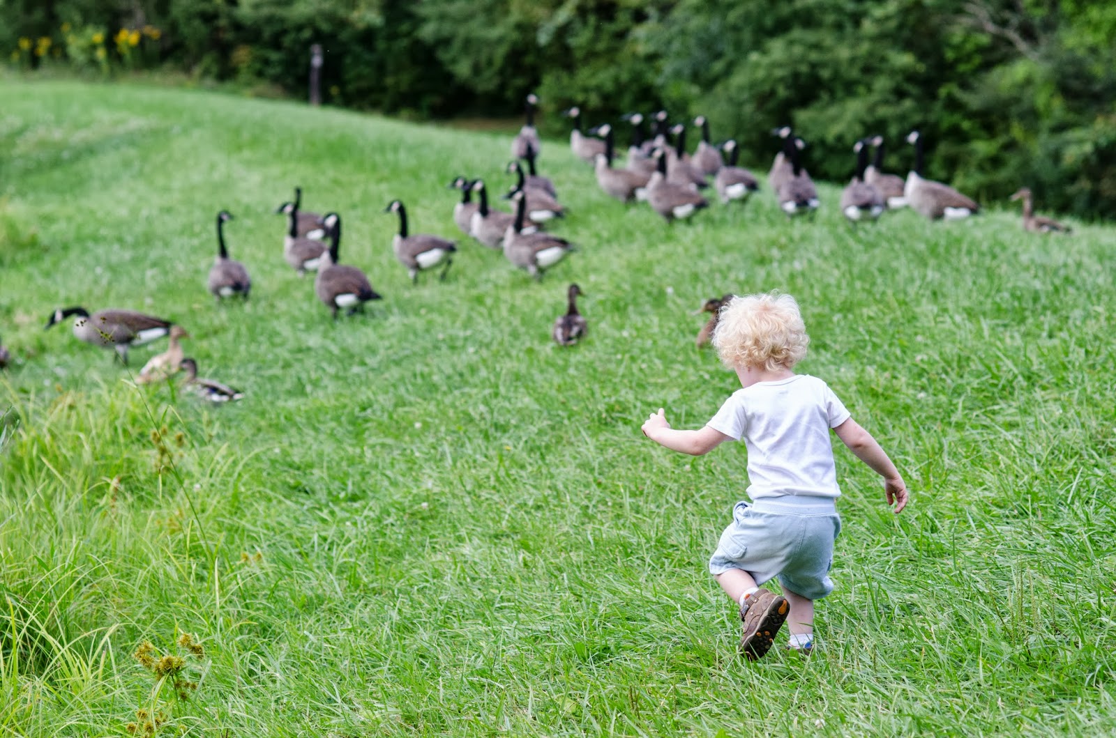 Picturing the Ordinary: Hop Frog Pond