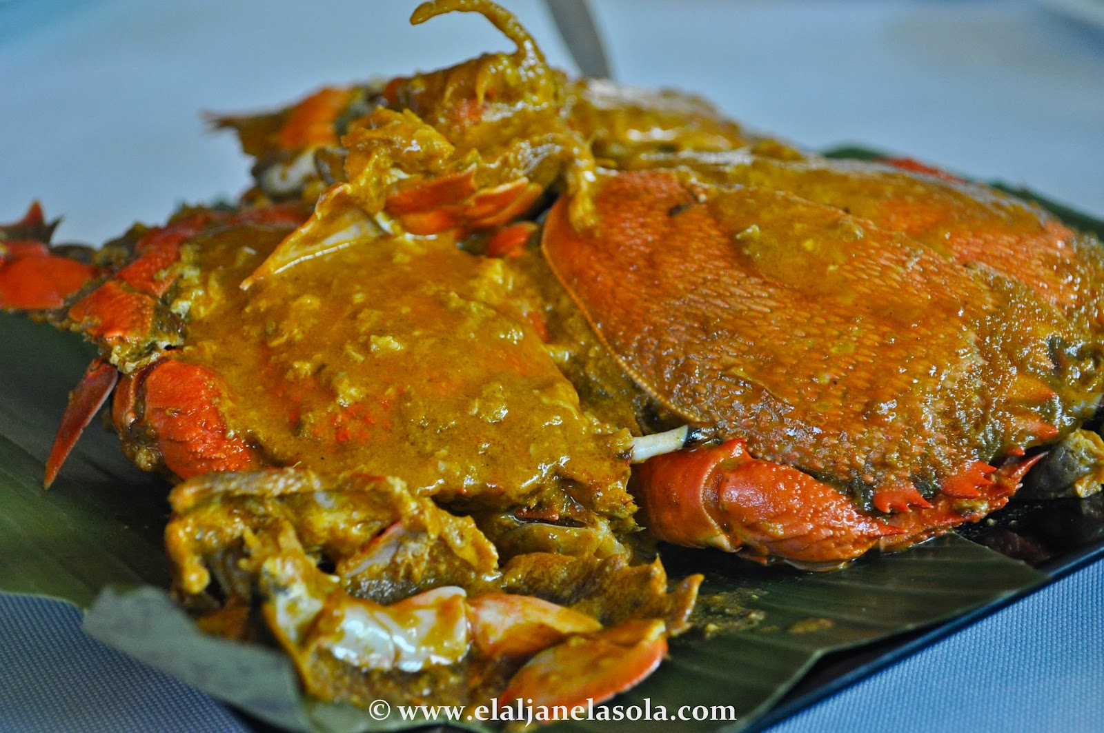 Elal Lasola Travel & Photography: Zamboanga | Curacha at Alvar Seafood ...