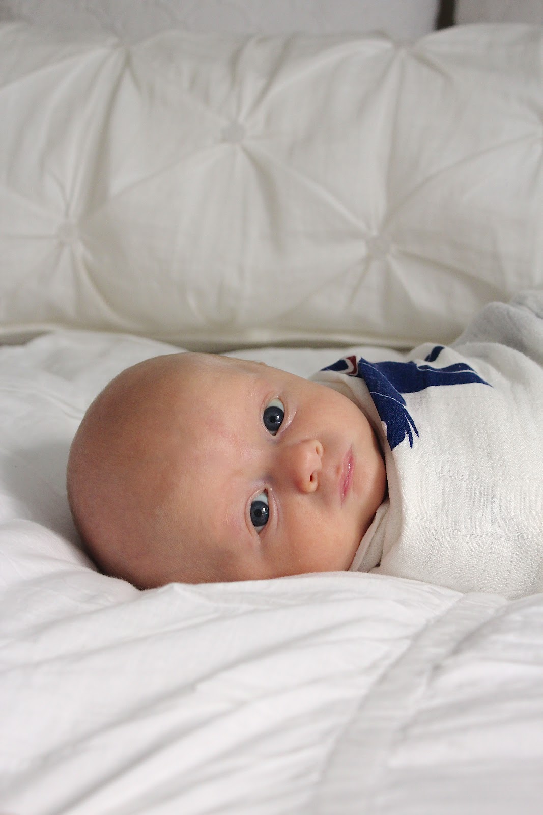 J is for Jones: my baby at 9 weeks old..