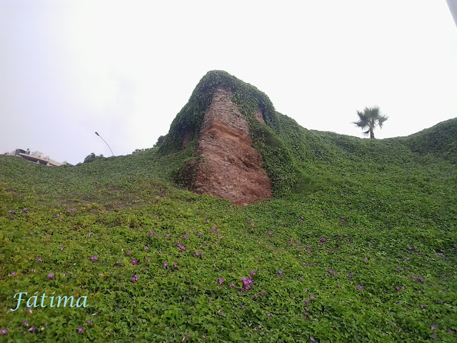 Fátima Rodríguez Serra: Sendero a la Playa desde el Parque Maria Reiche ...