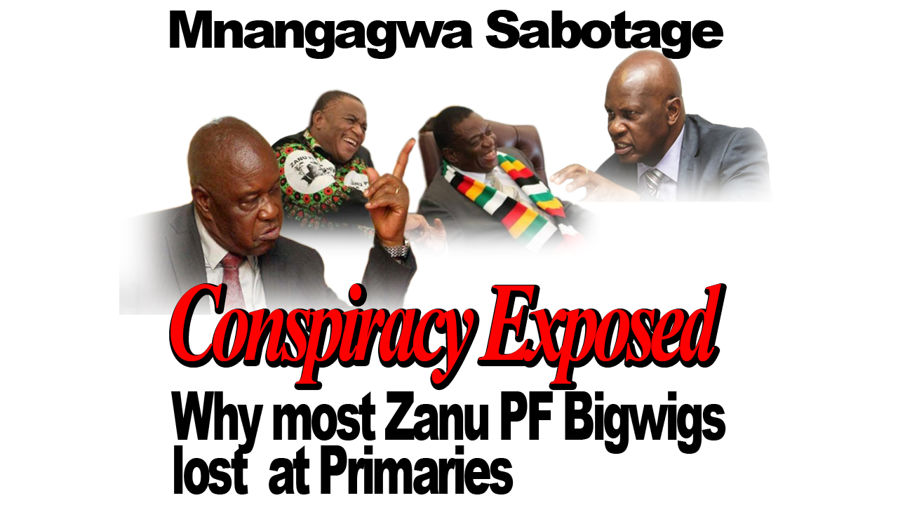 Mnangagwa Sabotage, Conspiracy Exposed, The real reason why BIgwigs lost at Zanu PF primaries