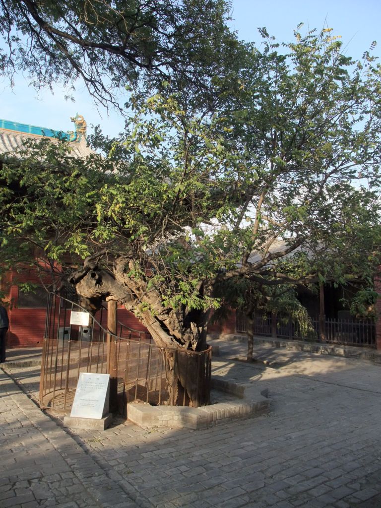 SUKHA: Ancient Buddhist Temples - Pingyao