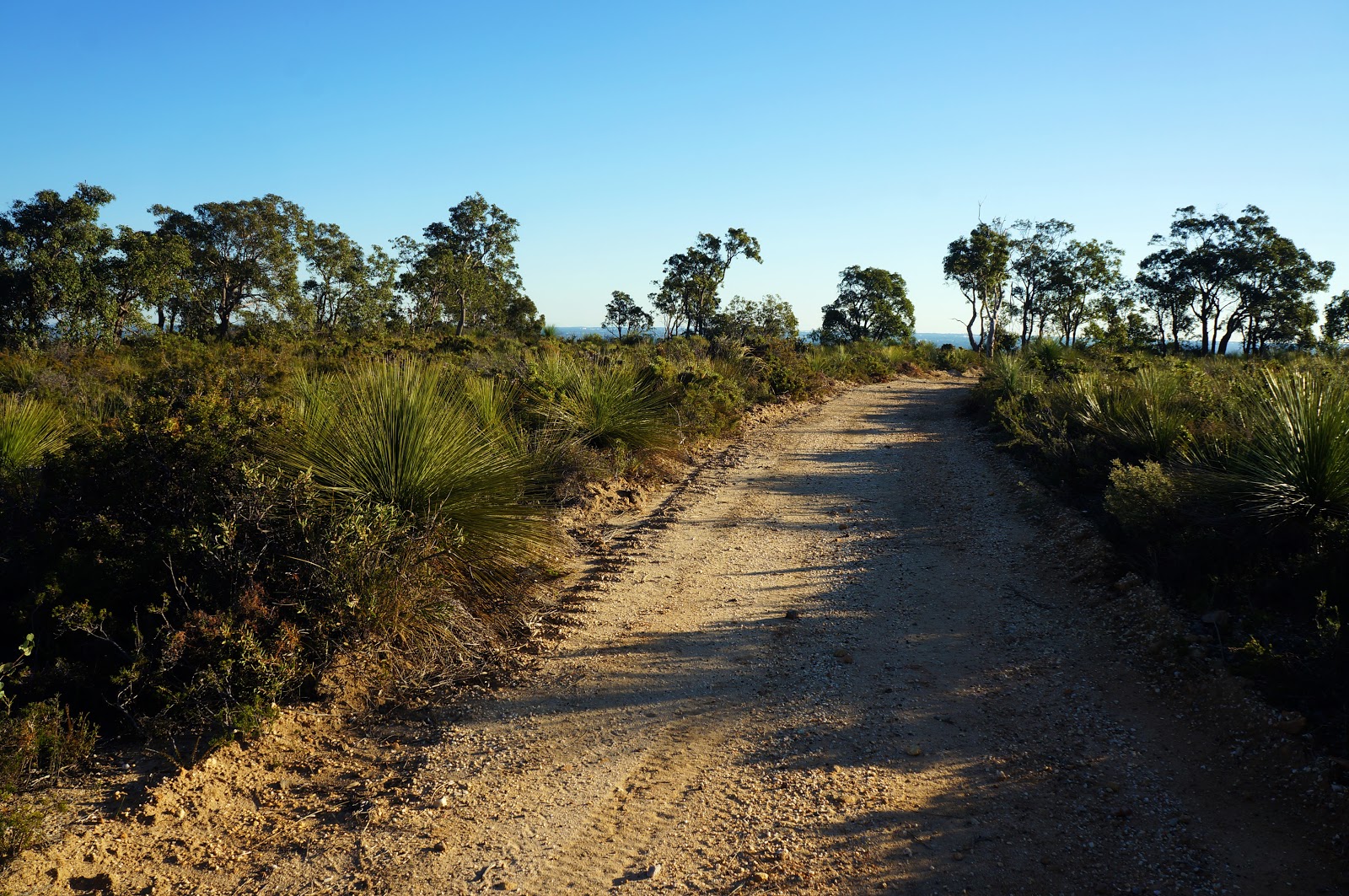 Lion's Lookout (Korung National Park) ~ The Long Way's Better