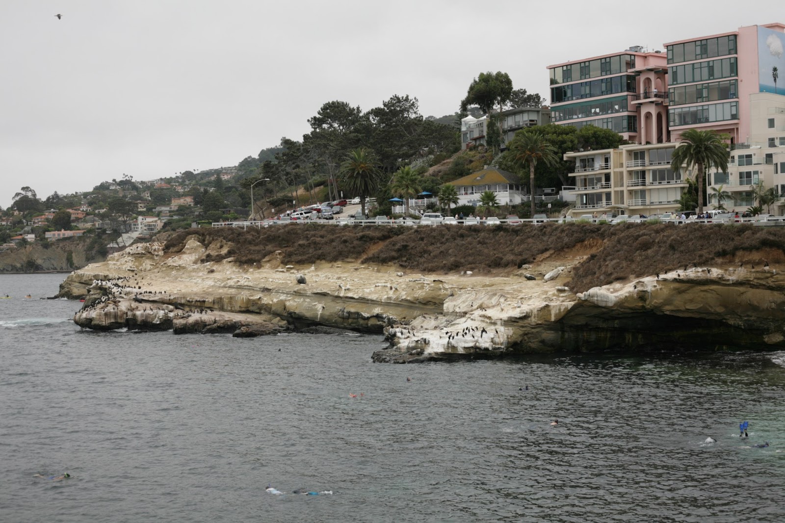 37 States, 39 Days: Top Gun Friday