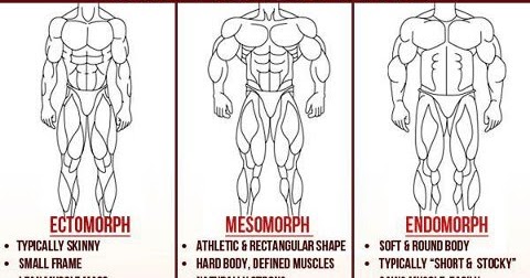 STRENGTH FIGHTER™: Know Your Body Type