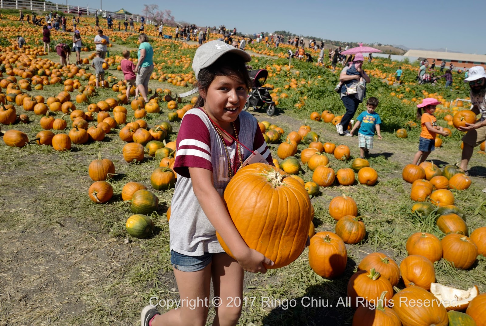 Ringo Chiu Photography: 20171007 Pumpkin Festival in Cal Poly Pomona