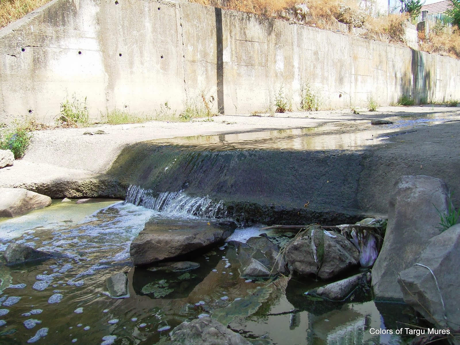 Paraul Poclos la varsarea in Raul Mures ~ Colors of Targu Mures