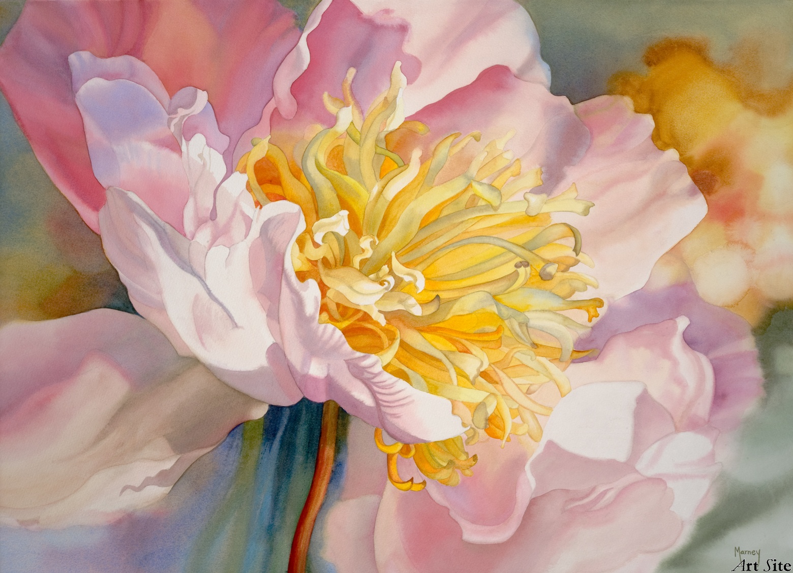 COSICAS VARIAS: Marney Ward SFCA, Artist