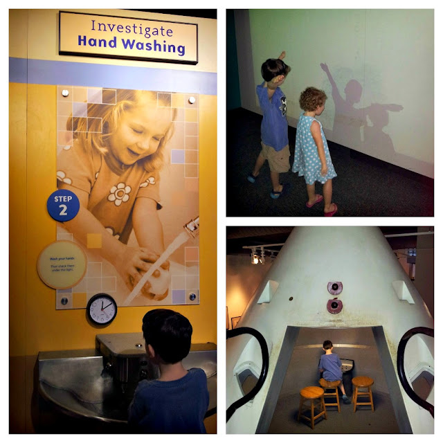 In the Mist at The Museum of Life and Science in Durham, NC | Hines ...