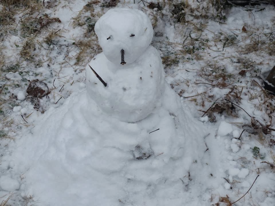 What a Winter! | Hodge Podge Moments