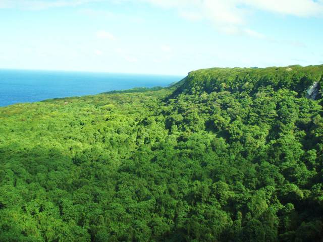 Tongan Tropical Moist Forests: Forest Cover