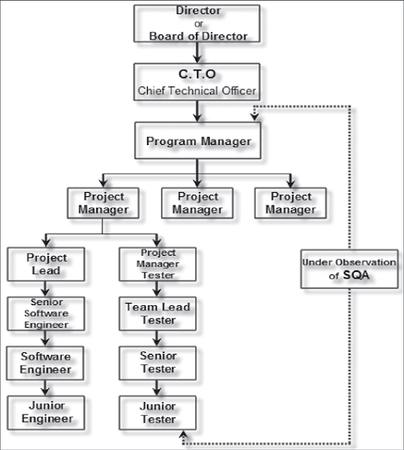Software Testing Guidelines: Organizational Hierarchy