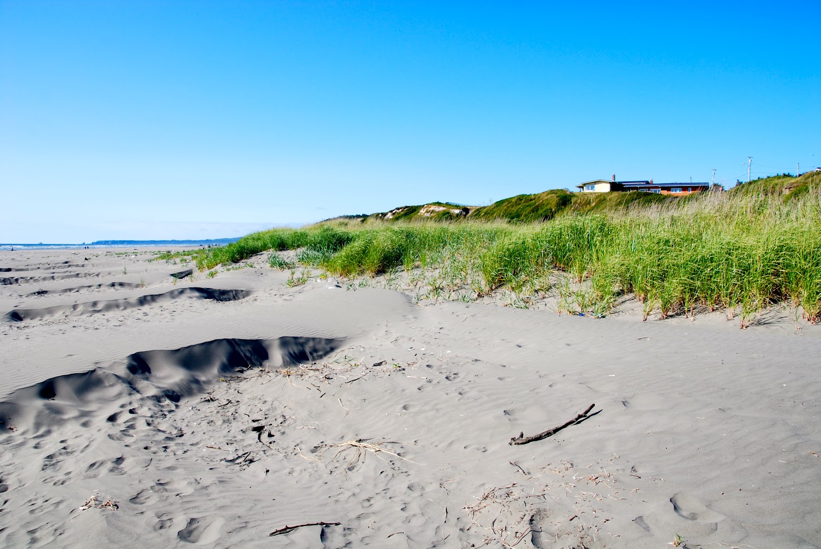 Wanderlust Traveler: Pacific Beach, Washington (Lodging, Dining, and ...