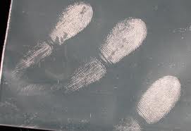 2011 CSI: fingerprinting results!