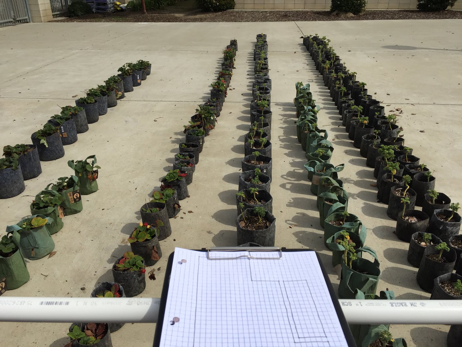 Plant Love: Plant Inventory