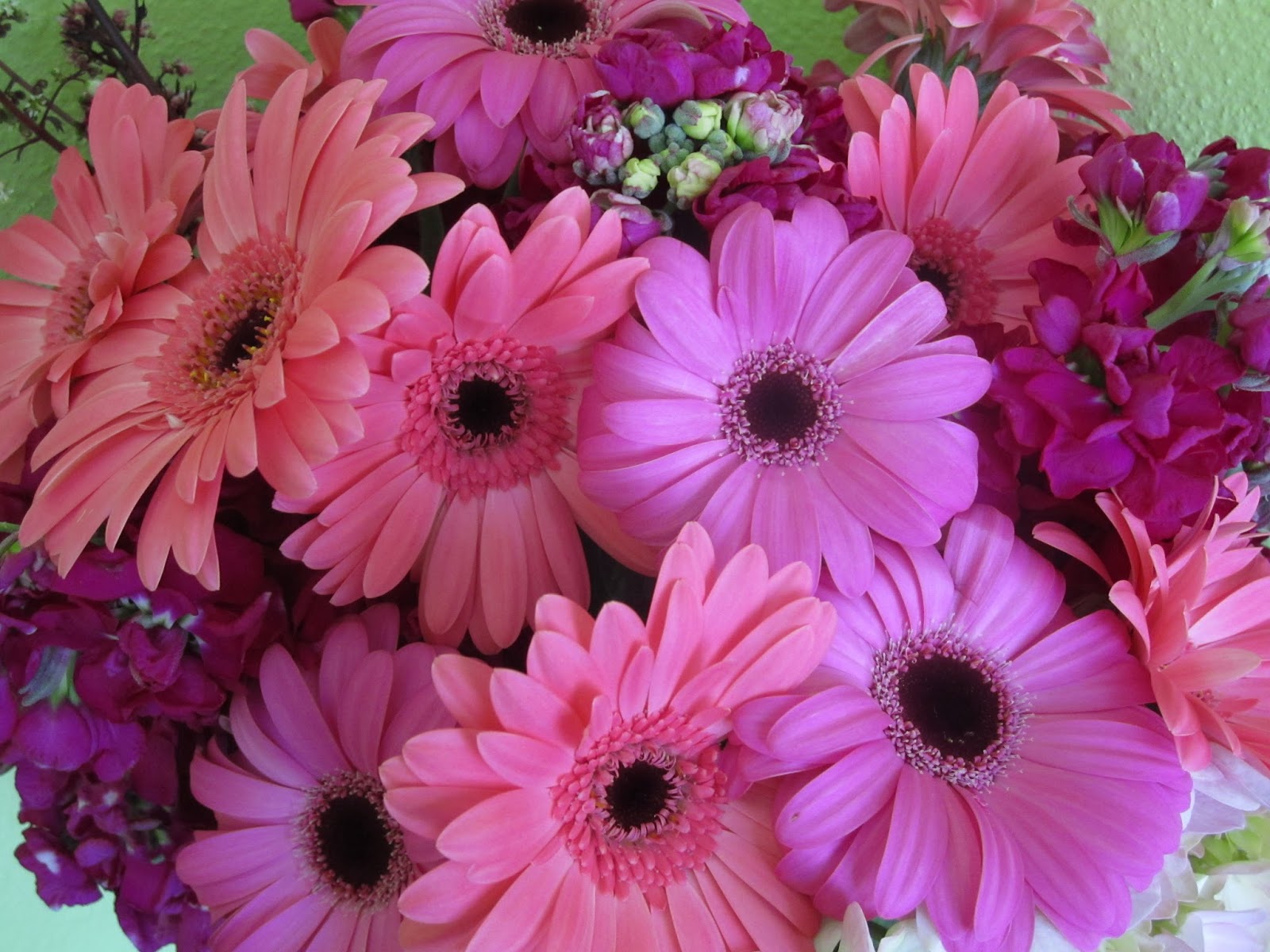 Branching Out Floral Designs: Gerbera arrangement