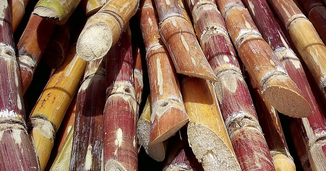 Law at the End of the Day: Cuban Sugar in the Shadow of the Affair of ...