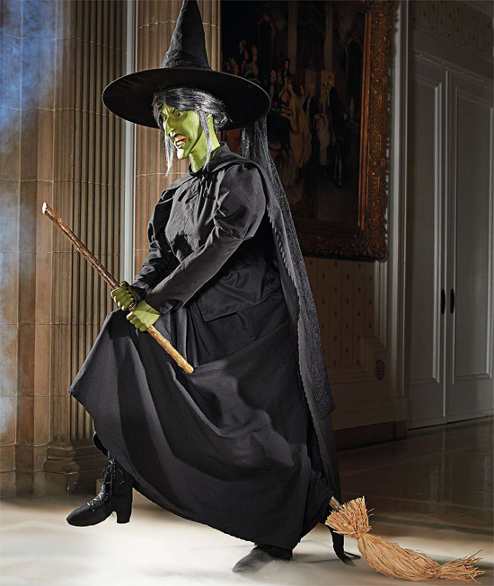 Curiozity Corner: Animated Flying Wicked Witch of the West Grandin Road ...