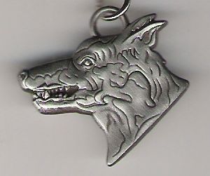 This Old Boy Scout Patch