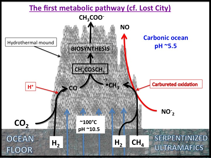 Hydrothermal Vents Diagram