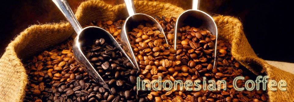 All Coffee Lovers Should Know: Civet Coffee - Kopi Luwak From Indonesian