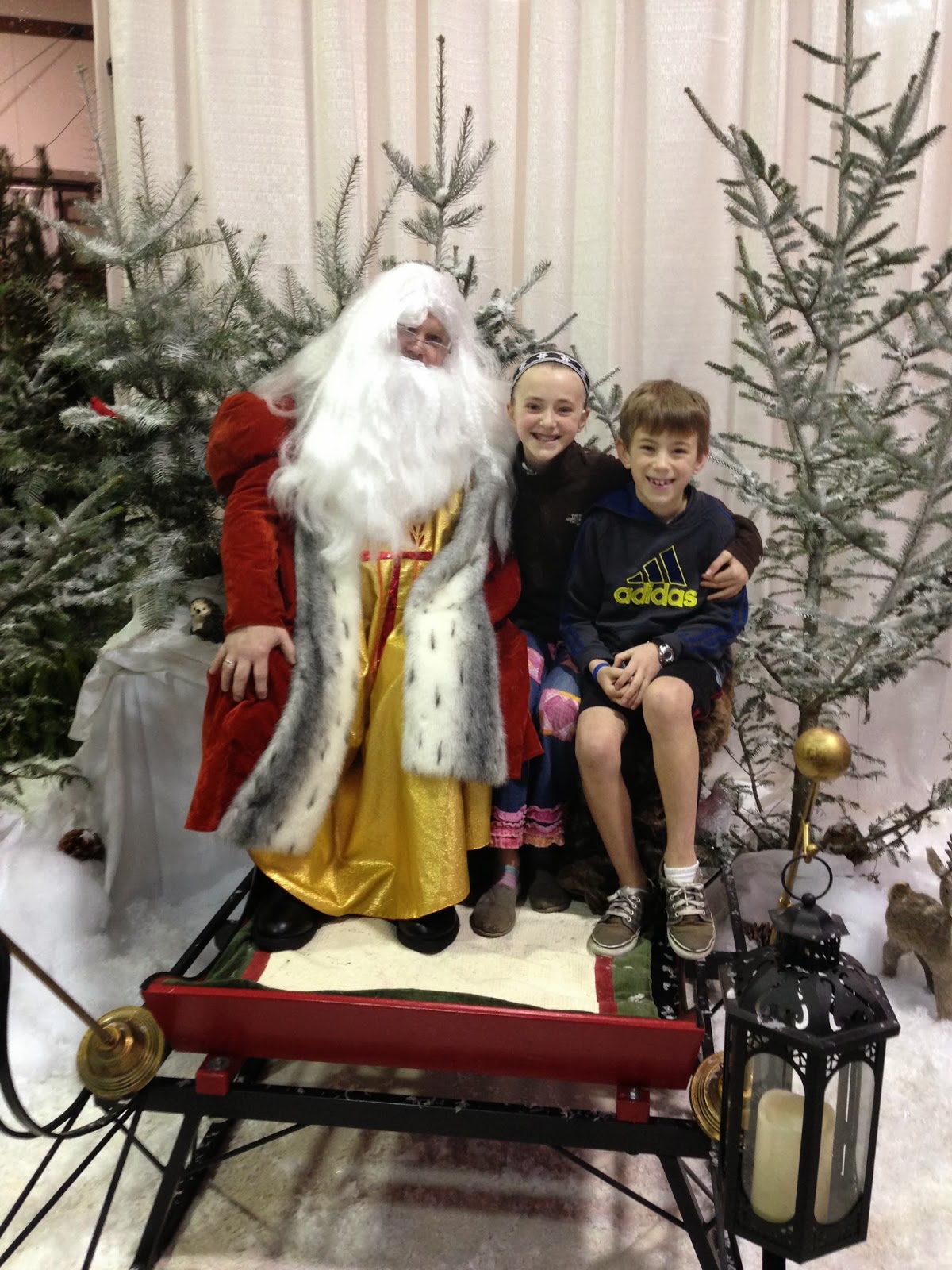 Celebrate Today : The Magic of Narnia