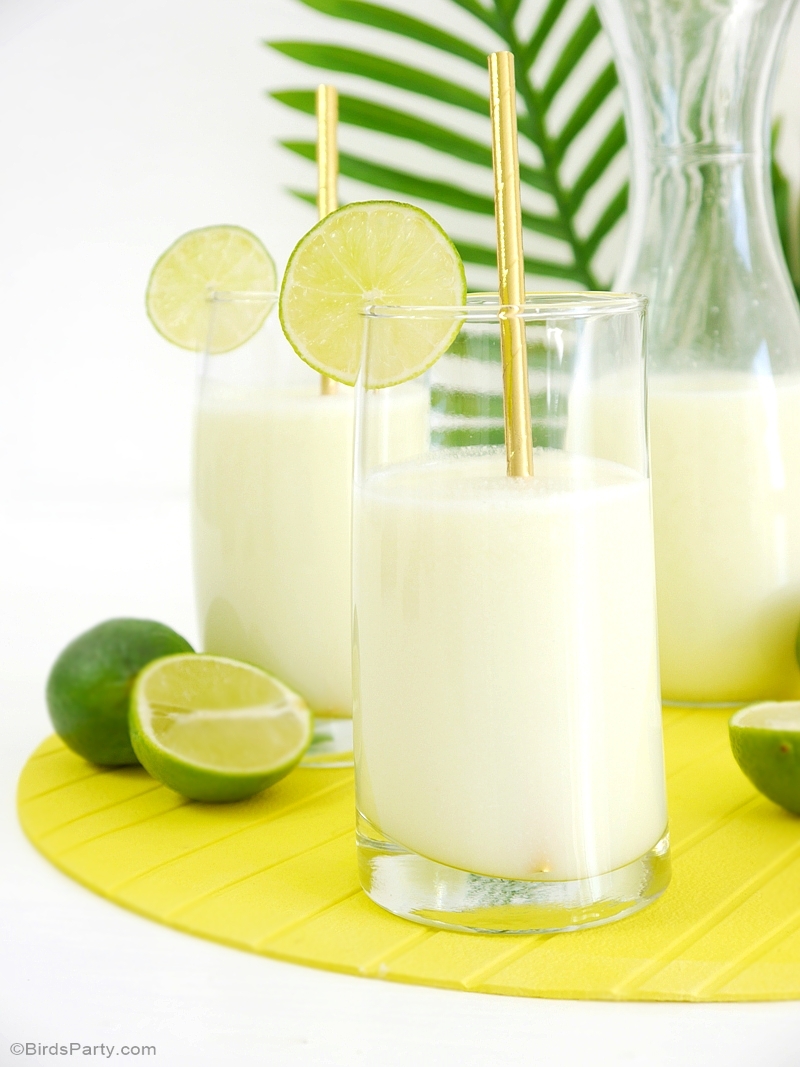 Brazilian Lemonade Limeade Recipe - Party Ideas | Party Printables Blog